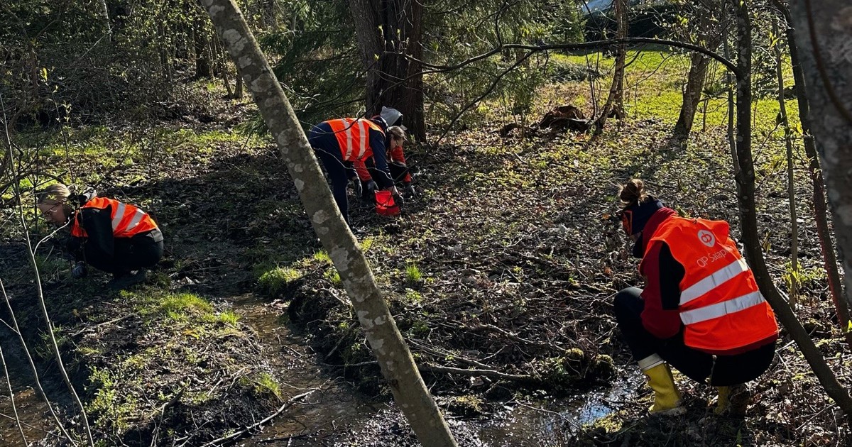 HIIOP- vapaaehtoistyöpäivä yhdessä lähiluonnon hyväksi | OP Media