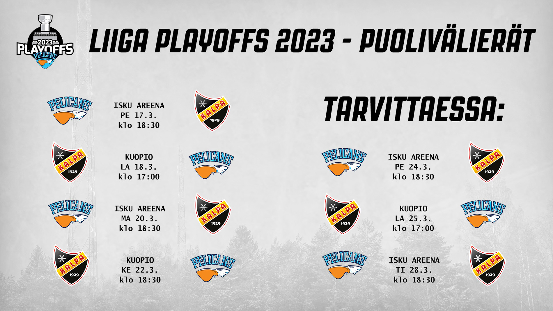 Kärpäsen pihapeleistä Pelicansin Liiga-miehistöön – Veljeys on ...